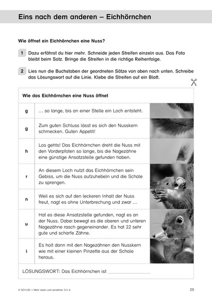 Mehr... Lesen und verstehen 3/4 Band A - Aufgaben für das Leseverstehen – Westermann