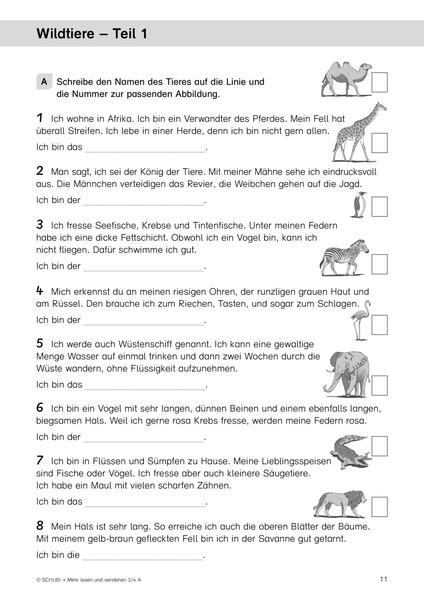 Mehr... Lesen und verstehen 3/4 Band A - Aufgaben für das Leseverstehen – Westermann
